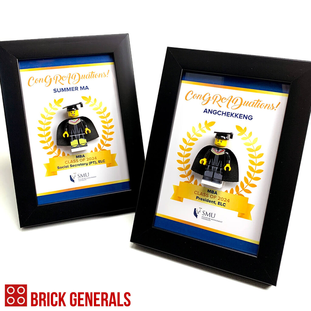 Custom Projects - Brick Generals